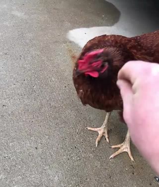 Unabletoﬁndname: teacherbach: social chhallengednerd: why do people say ...