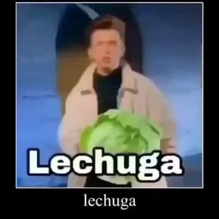 Lechuga memes. Best Collection of funny lechuga pictures on iFunny
