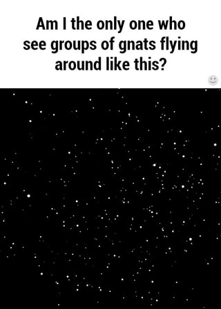 Gnats memes. Best Collection of funny gnats pictures on iFunny