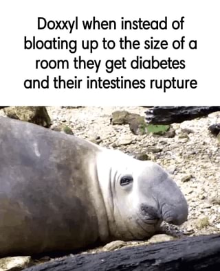 Bloating memes. Best Collection of funny bloating pictures on iFunny