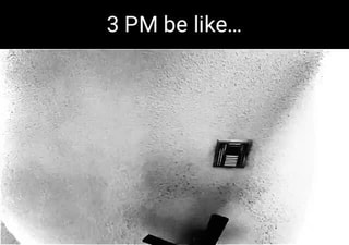 3pm memes. Best Collection of funny 3pm pictures on iFunny