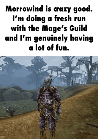Morrowind memes. Best Collection of funny morrowind pictures on iFunny
