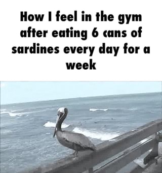 Sardines memes. Best Collection of funny sardines pictures on iFunny