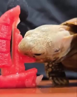 Dank memes. Best Collection of funny dank pictures on iFunny