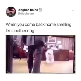 When your dog smells someone - )
