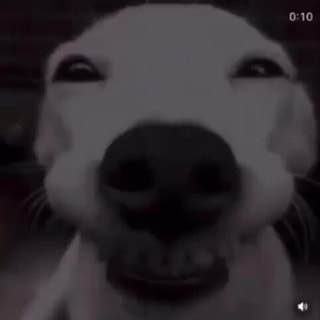 Jumpscare memes. Best Collection of funny jumpscare pictures on iFunny