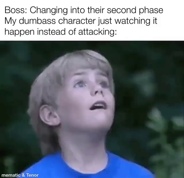 Boss: Changing into their second phase My dumbass character just ...