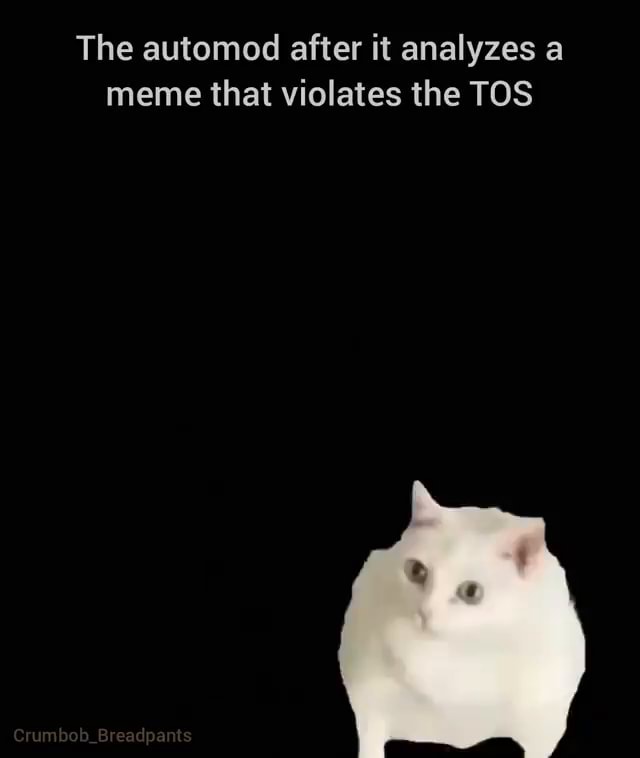 The automod after it analyzes a meme that violates the TOS - iFunny