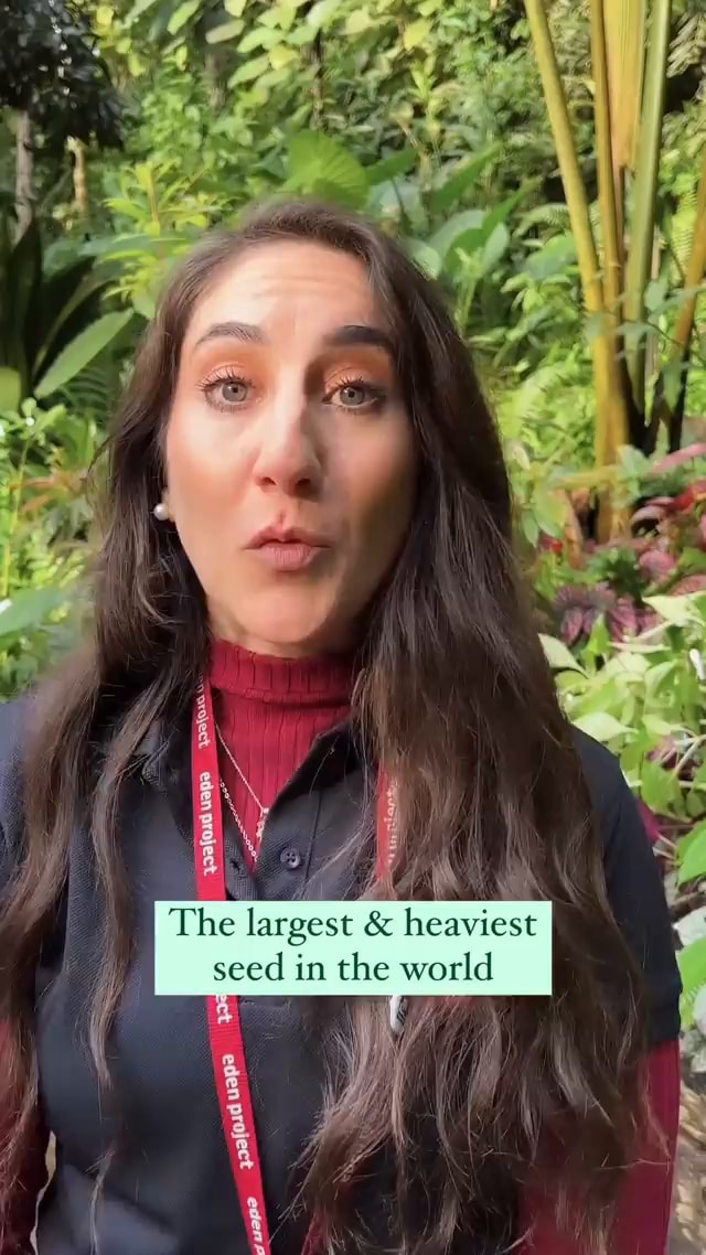 The large heaviest seed in the world - iFunny