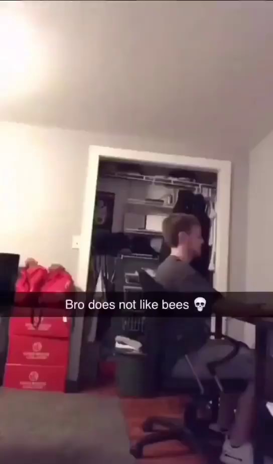 Bro does not like bees @ - iFunny