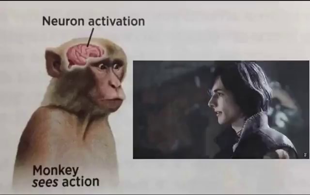 Neuron activation sees action - iFunny