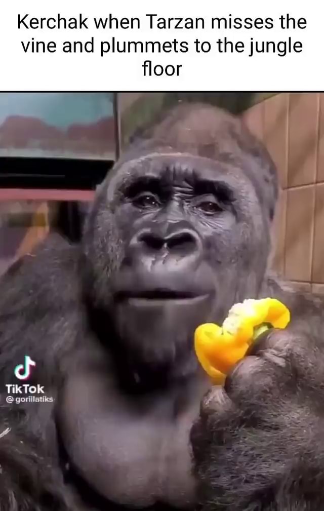 Kerchak when Tarzan misses the vine and plummets to the jungle floor Jd ...