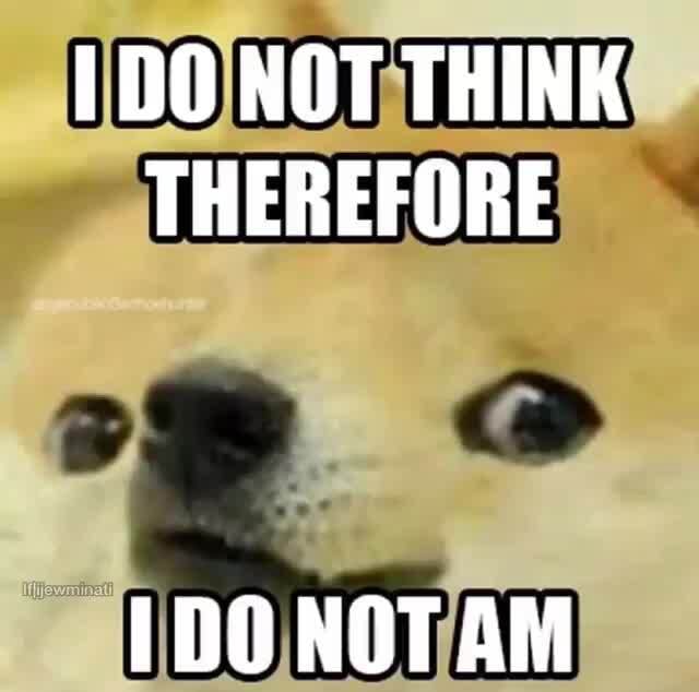 1 NOT THINK THEREFORE NOTAM - iFunny