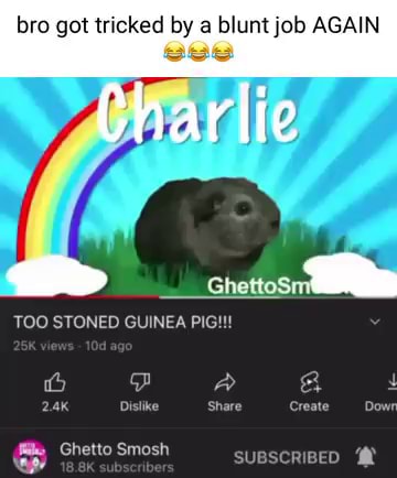 Bro got tricked by a blunt job AGAIN GhettoS: TOO STONED GUINEA PIG ...