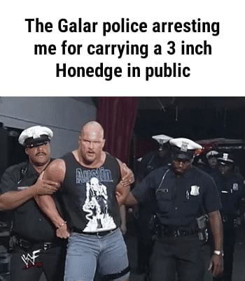 The Galar police arresting me for carrying a 3 inch Honedge in public ...