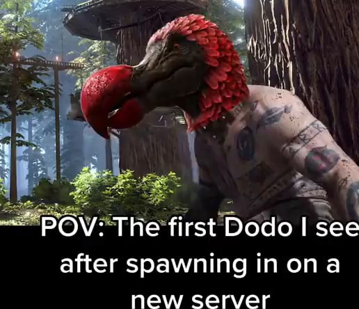 The first Dodo I see after spawning in ona new server - iFunny