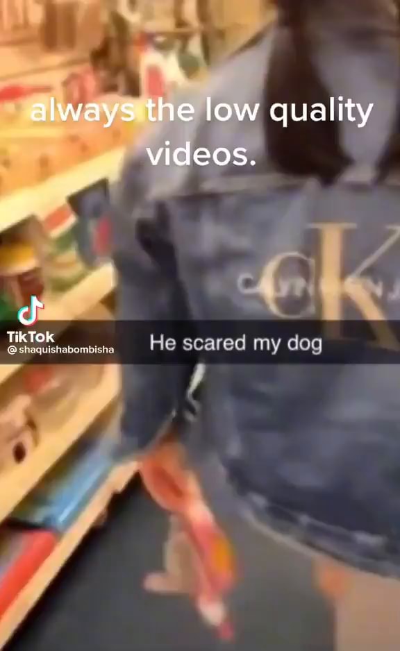 Always the low quality videos. Tik Tok He scared my dog - iFunny