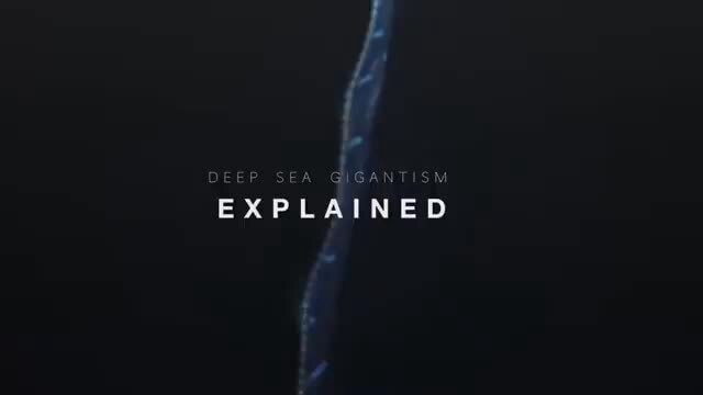 Video memes oyQtRCBs8 by Oceanography: 5 comments - iFunny