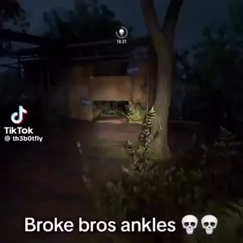 TikTok Broke bros ankles - iFunny