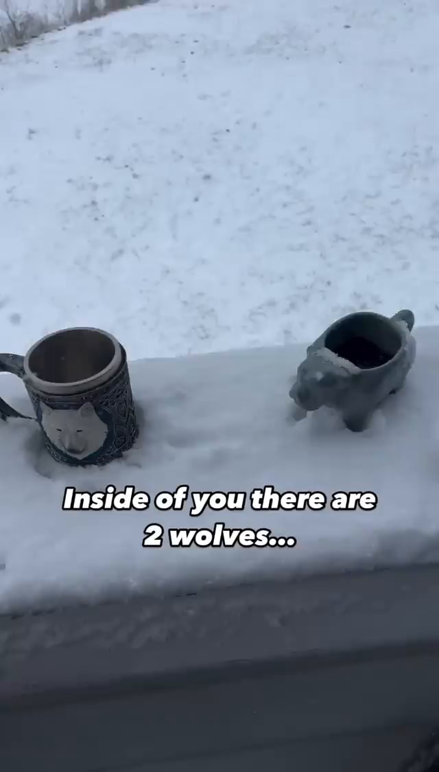 Inside of you there are 2 wolves... - iFunny