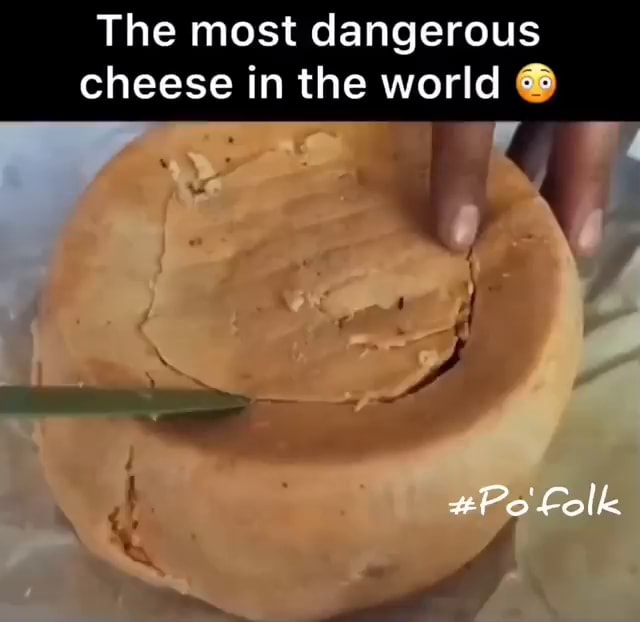 The most dangerous cheese in the world #Po Lolk - iFunny