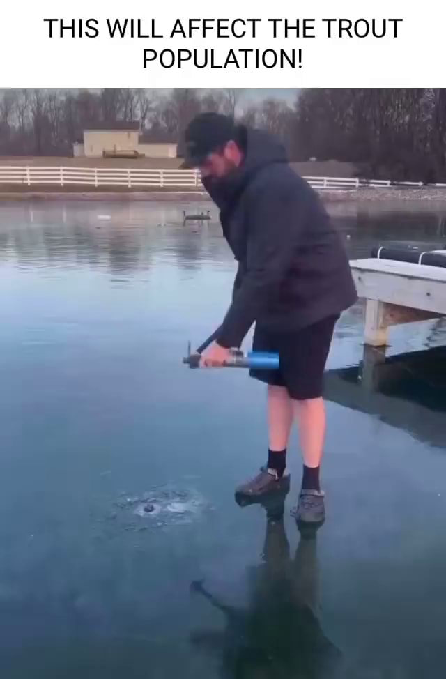 THIS WILL AFFECT THE TROUT POPULATION! SS - iFunny