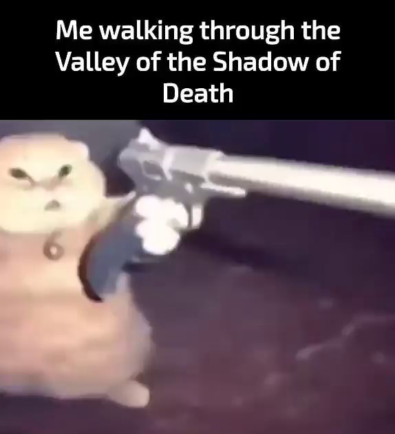 Me walking through the Valley of the Shadow of Death - iFunny