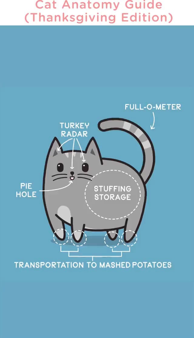 At Anatomy Guide (Thanksgiving Edition) FULL-O-METER TURKEY RADAR PlE ...