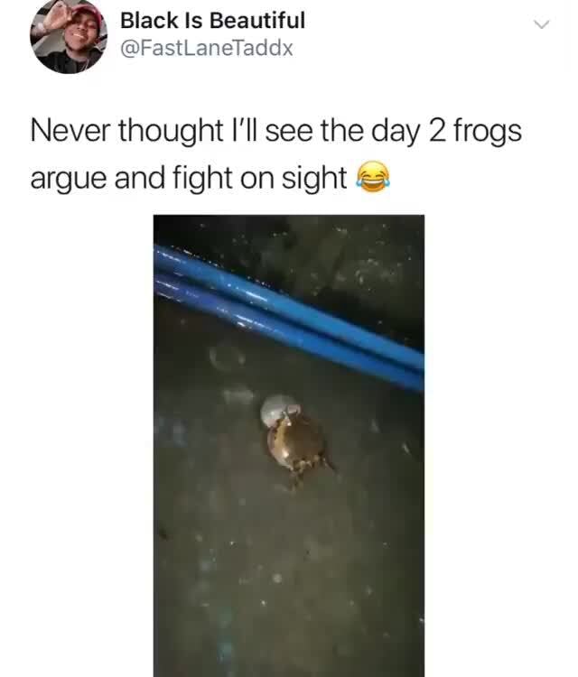 Timeme (ti-meem) on Instagram: “ON SIGHT! ON SIGHT!” - Never thought I ...