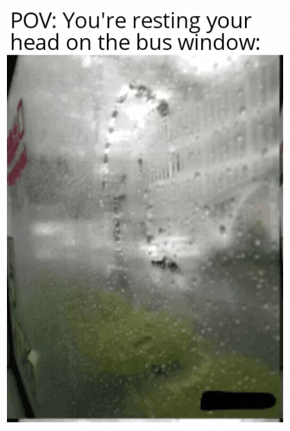 POV: You're resting your head on the bus window: - iFunny
