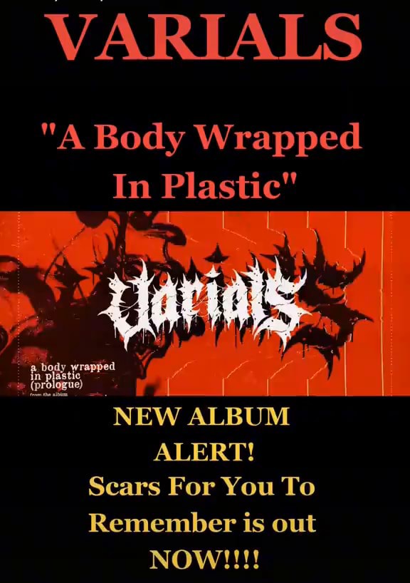 VARIALS "A Body Wrapped wrapped NEW ALBUM ALERT! Scars For You To ...