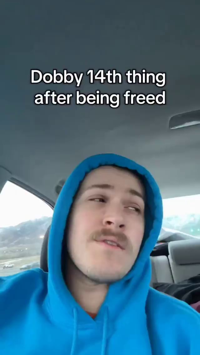 Dobby 14th thing after being freed > FF - iFunny