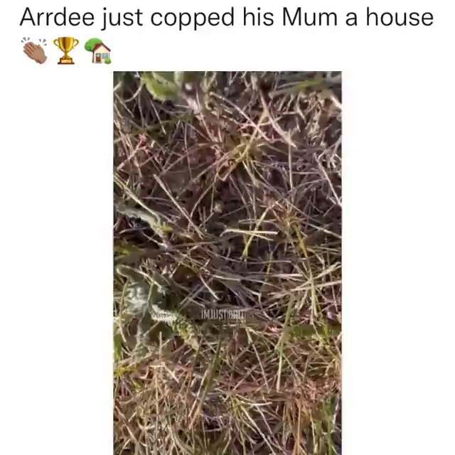 Arrdee just copped his Mum a house - iFunny