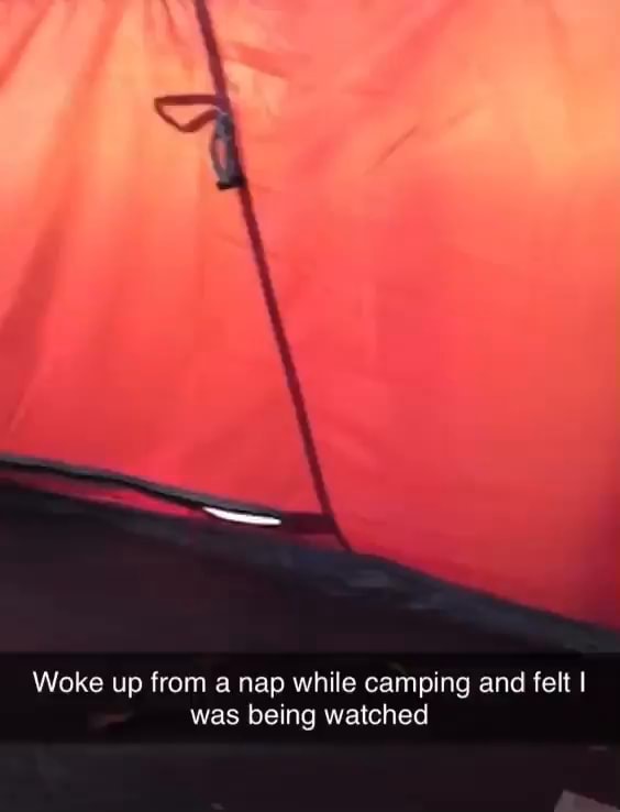Woke up from a nap while camping and felt I was being watched - iFunny