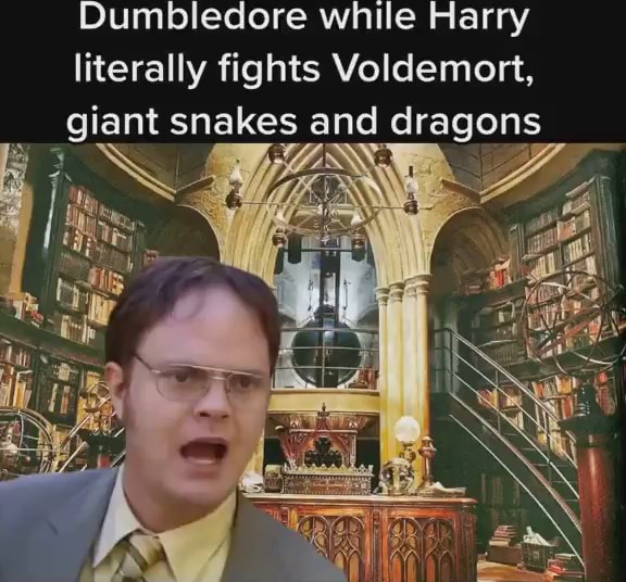 Dumbledore while Harry literally fights Voldemort, giant snakes and ...