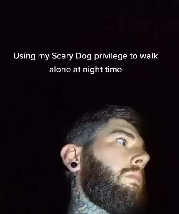 Using my Scary Dog privilege to walk alone at night time - iFunny