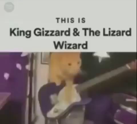 THIS IS King Gizzard & The Lizard Wizard - iFunny
