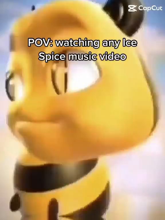 CapCur POV: watching any Ice Spice music video - iFunny