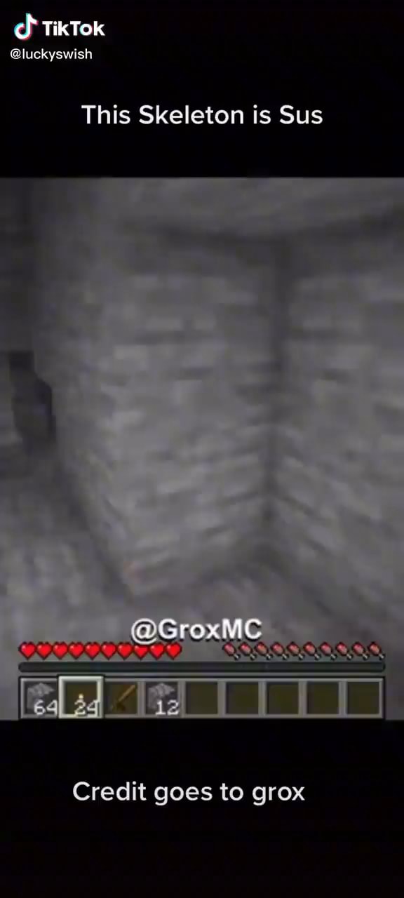 TikTok @luckyswish This Skeleton is Sus Credit goes to grox - iFunny