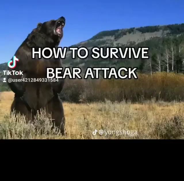 HOV TO SURVIVE ratck BEAR ATTACK - iFunny