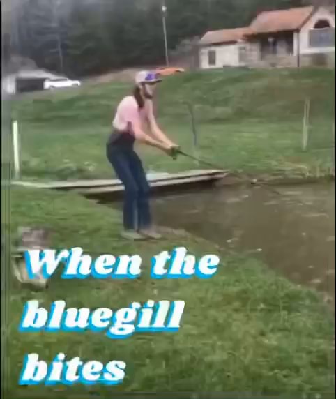 When the bluegill bites - iFunny