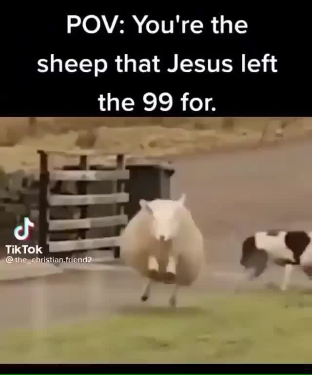 POV: You're the sheep that Jesus left the 99 for. TOR - iFunny