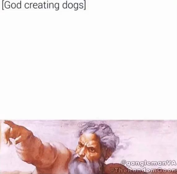 {God creating dogs] - iFunny