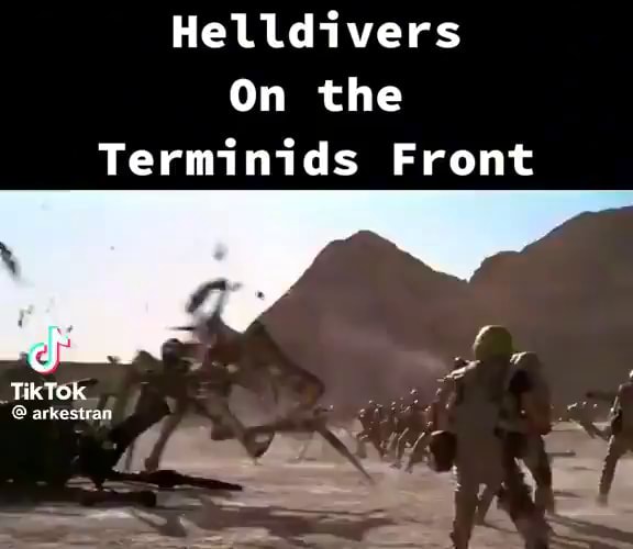 Helldivers On the Terminids Front _TikTok - iFunny