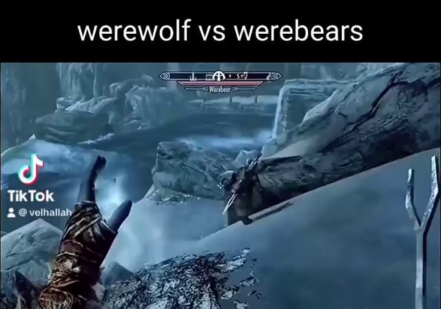 Werewolf vs werebears Tik - iFunny