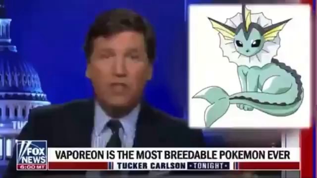 VAPOREON IS THE MOST BREEDABLE POKEMON EVER TUCKER CARLSON - iFunny