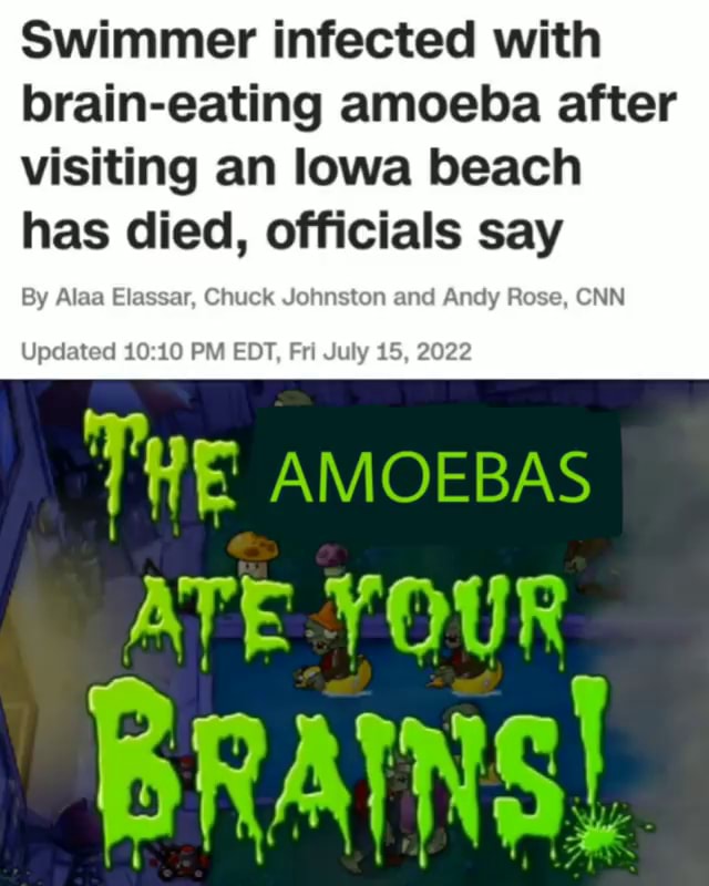 Swimmer infected with brain-eating amoeba after visiting an lowa beach ...