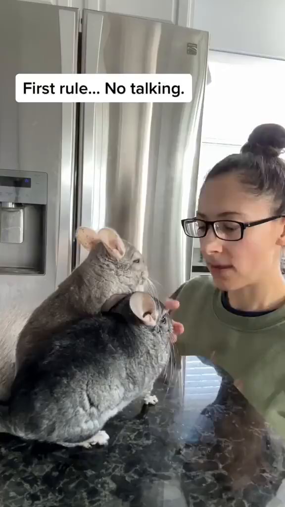 First rule... No talking. - iFunny