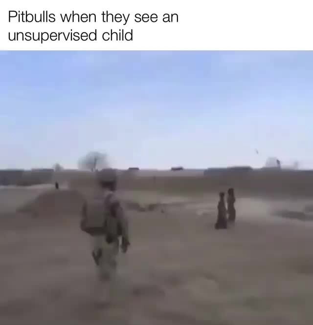 Pitbulls when they see an unsupervised child - iFunny