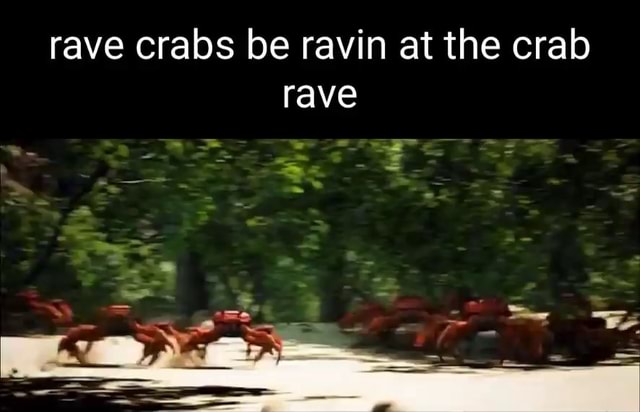 Rave crabs be ravin at the crab rave - iFunny